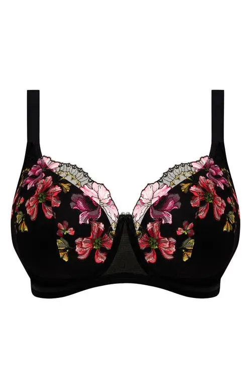 Elomi Teagan Padded Underwire Half Cup Bra - Rainbow