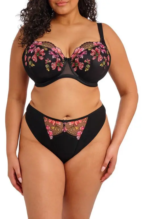 Elomi Teagan Padded Underwire Half Cup Bra - Rainbow