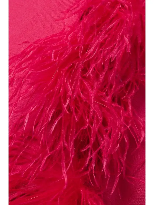 Lapointe Cutout Feather-trimmed Maxi Dress