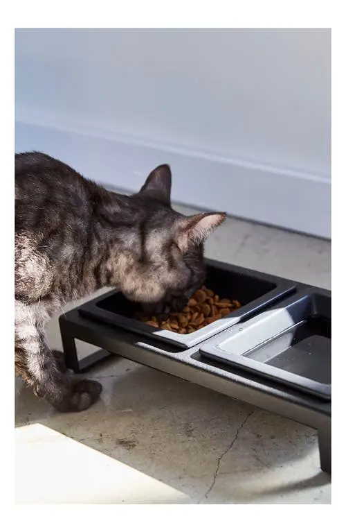 YAMAZAKI Elevated Double Bowl Pet Diner