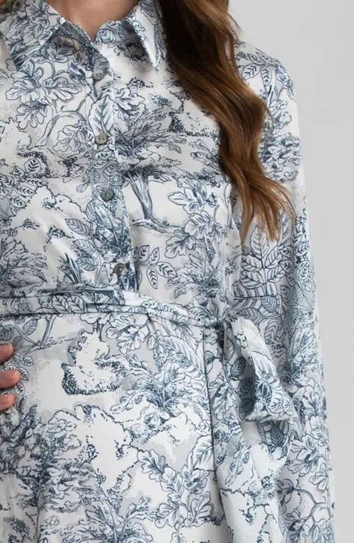 PIETRO BRUNELLI Print Long Sleeve Dress