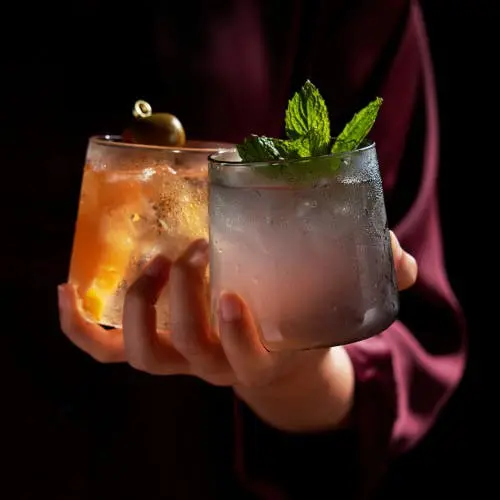 VISKI Aurora Cocktail Tumblers