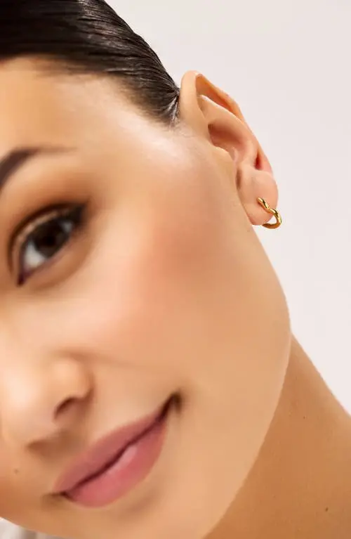 ANA LUISA Daryl Heart Earrings
