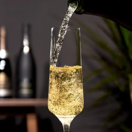 VISKI Reserve Inez Crystal Champagne Flutes Set Of 4