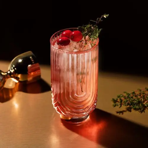 VISKI Deco Gatsby Highball Glasses Set Of 2