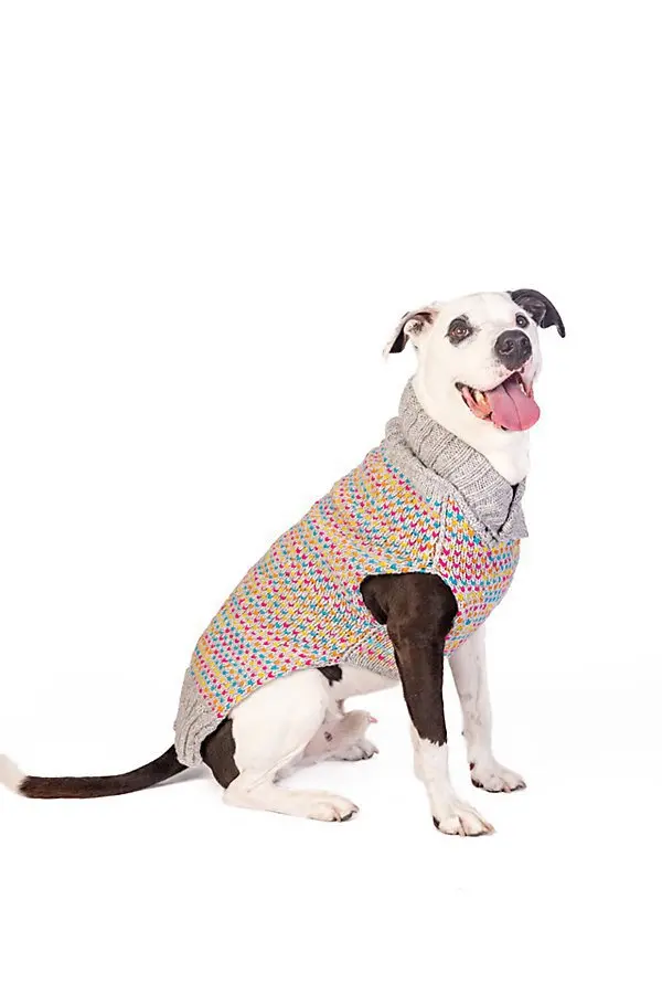CHILLY DOG Sprinkles Dog Sweater