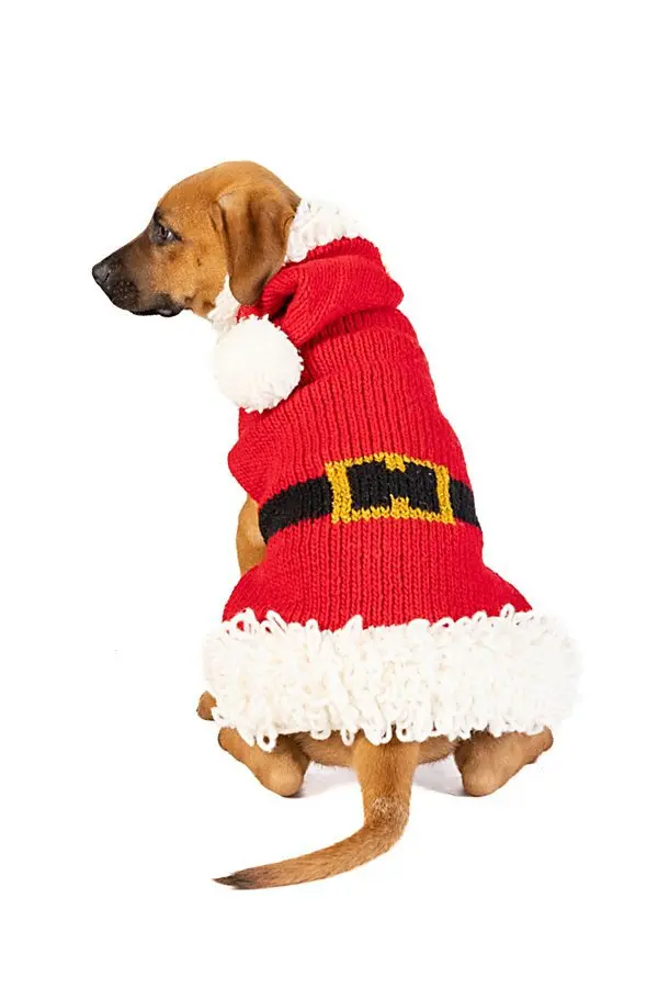 CHILLY DOG Santa Dog Sweater - White
