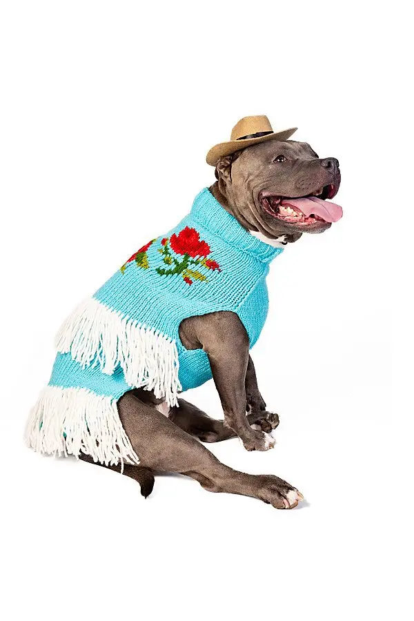 CHILLY DOG Rodeo Dog Sweater