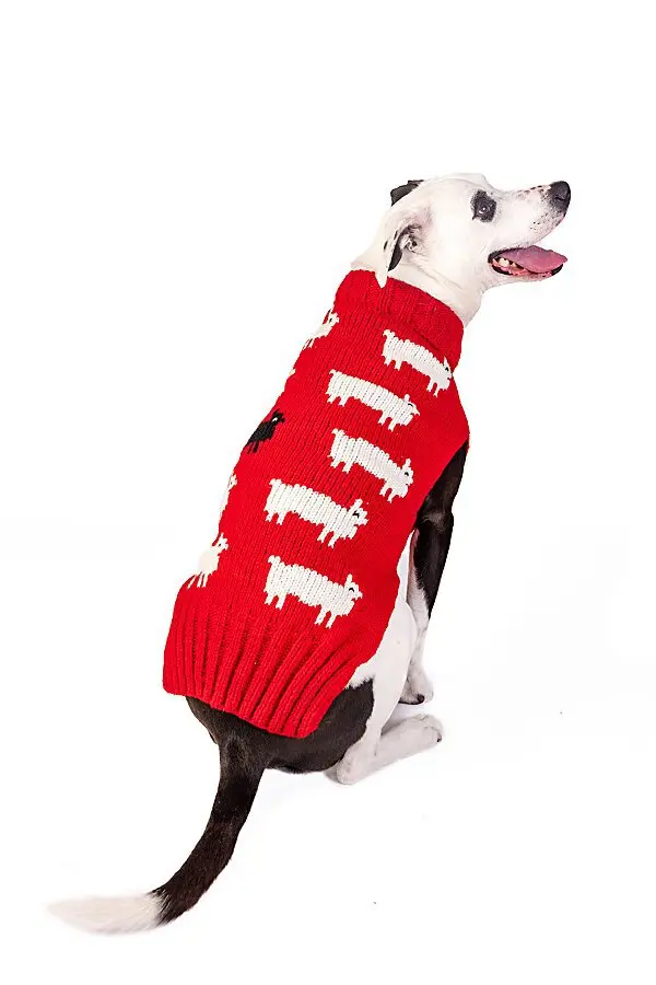 CHILLY DOG Sheep Dog Sweater