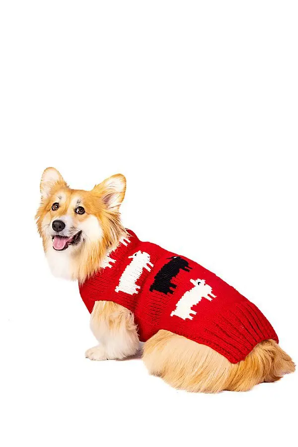 CHILLY DOG Sheep Dog Sweater