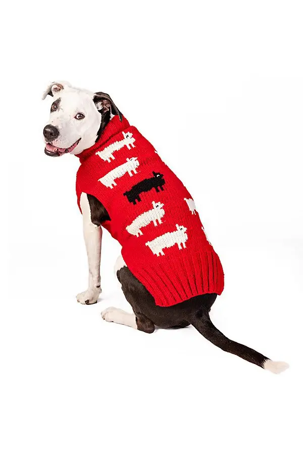 CHILLY DOG Sheep Dog Sweater