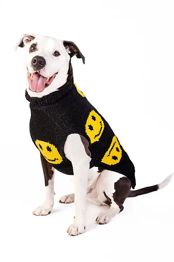 CHILLY DOG Smiley Dog Sweater