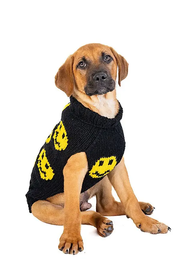 CHILLY DOG Smiley Dog Sweater