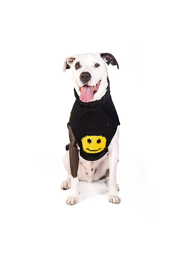 CHILLY DOG Smiley Dog Sweater