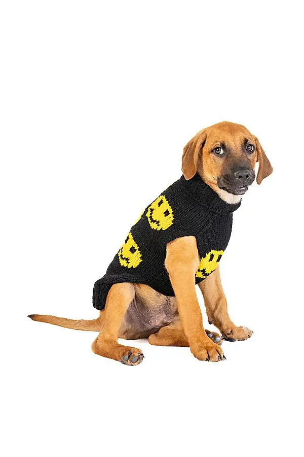 CHILLY DOG Smiley Dog Sweater