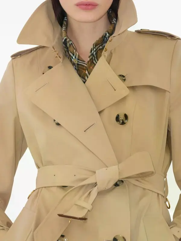 Burberry Double-breasted Trench Coat
