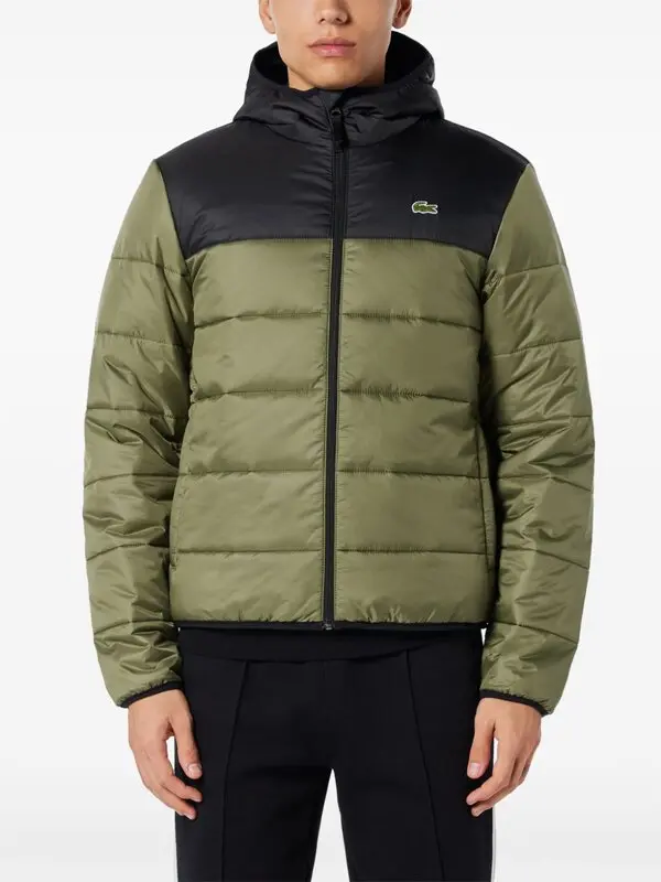 quilted hooded lacoste padded quilted jacket