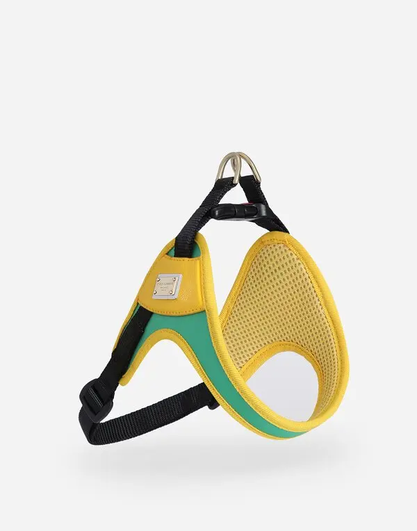 Dolce & Gabbana Dog Harness - Green