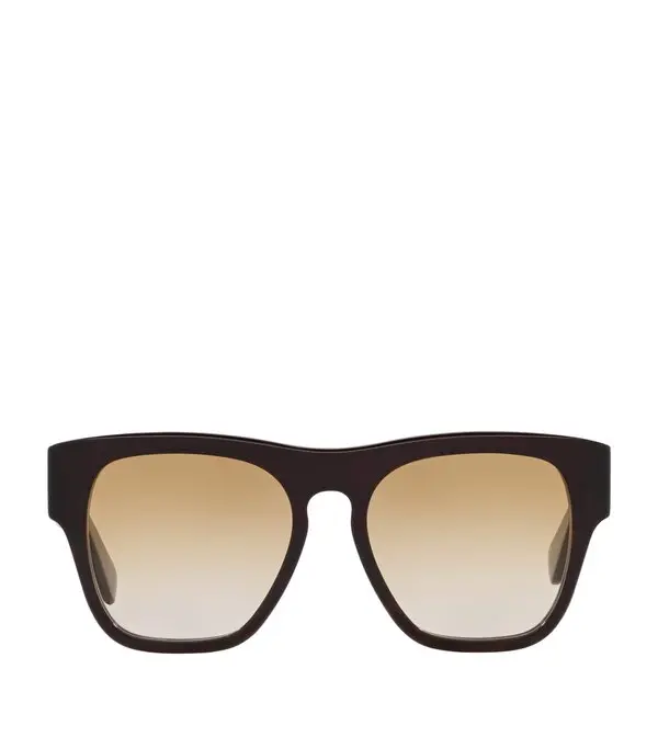 Chloé Acetate 06n000477 Sunglasses