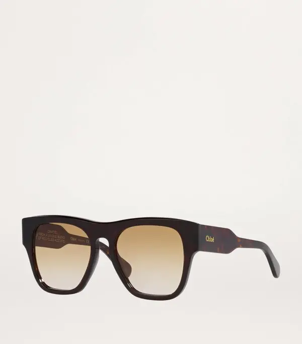 Chloé Acetate 06n000477 Sunglasses