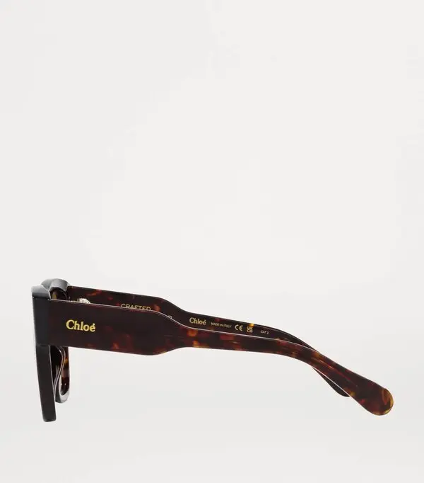 Chloé Acetate 06n000477 Sunglasses