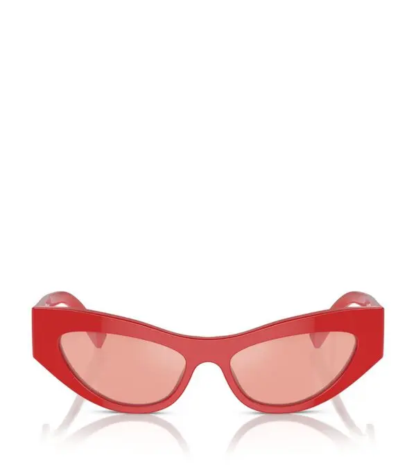 Dolce & Gabbana Acetate Cat Eye Sunglasses