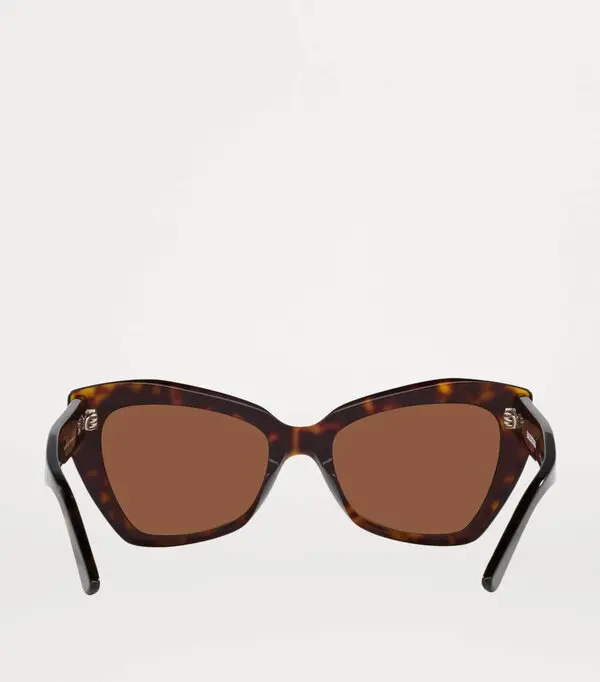 Balenciaga Acetate 6e000282 Sunglasses