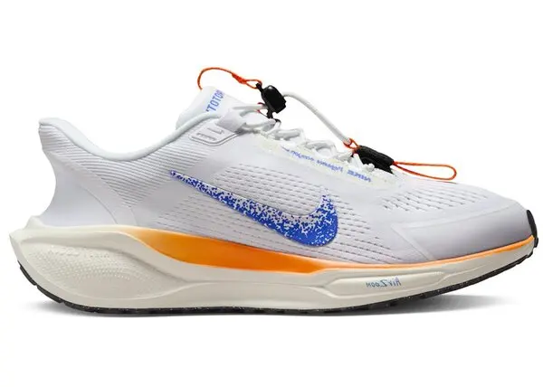 Nike Air Zoom Pegasus 41 Easyon Blueprint - Multicolor