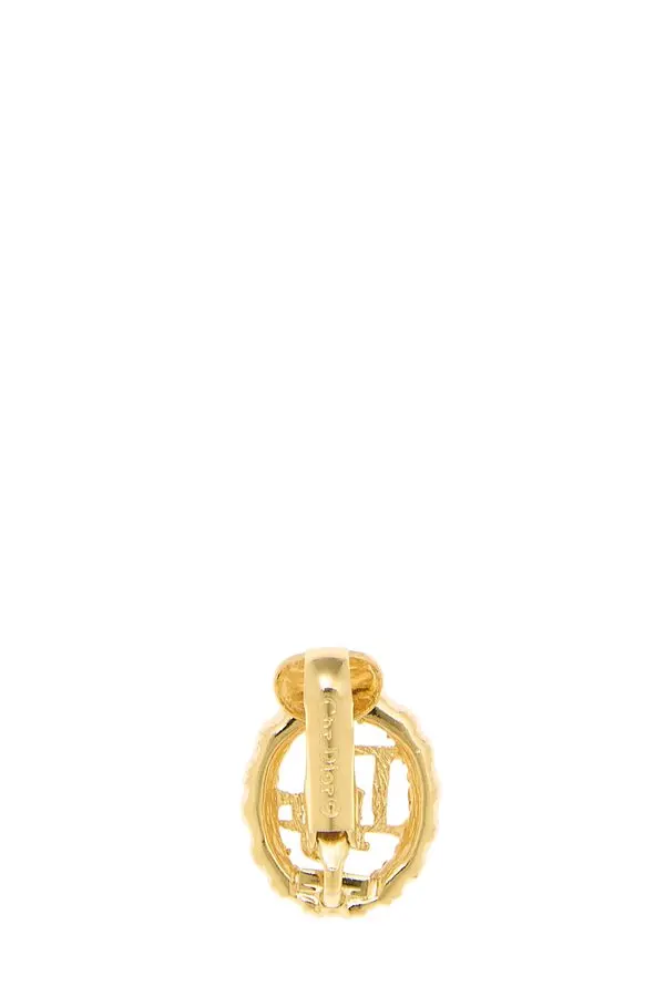 Dior Logo Earrings