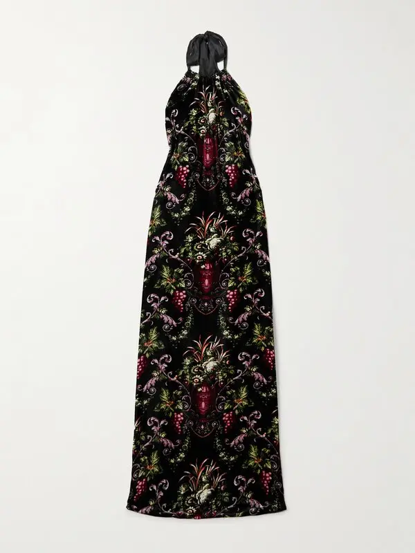 Cara Cara Geneva Floral-print Velvet Maxi Dress