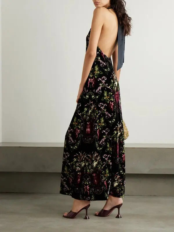 Cara Cara Geneva Floral-print Velvet Maxi Dress