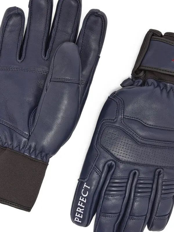 Perfect Moment Gloves - Blue