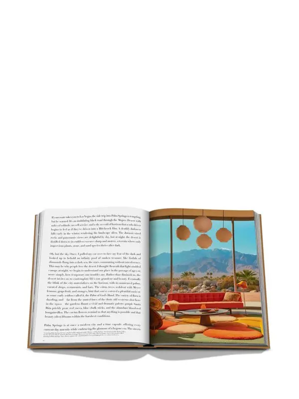 Assouline Palm Springs Book - Brown