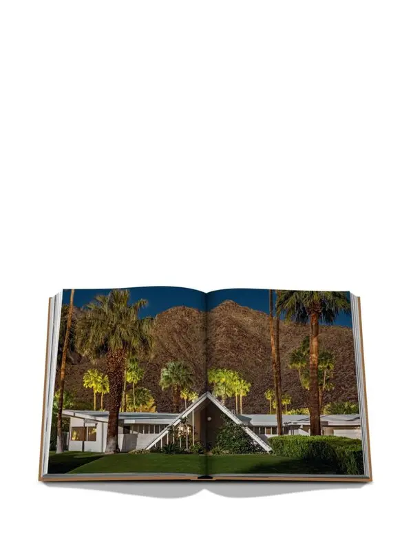 Assouline Palm Springs Book - Brown