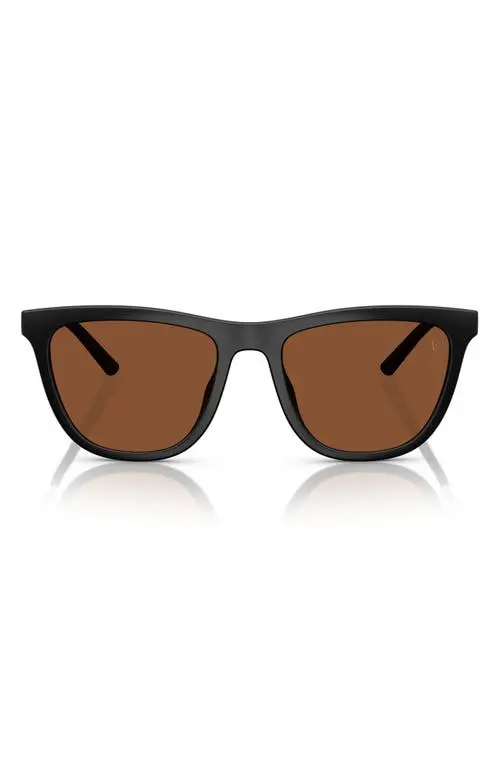 Oliver Spencer 51mm Pillow Sunglasses - Black Brown