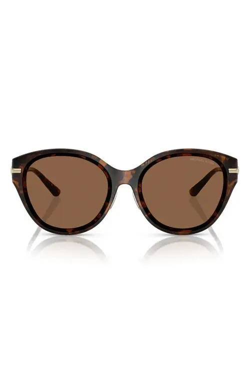 Michael Kors 59mm Round Frame Sunglasses - Dark Tortoise