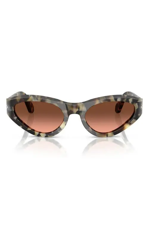 Persol 53mm Polarized Butterfly Sunglasses - Tortoise