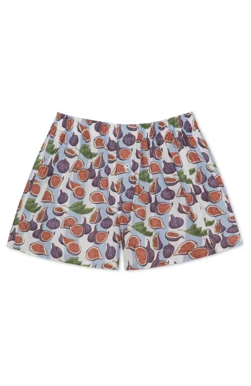 DRUTHERS NYC Organic Cotton Fig Spread Boxer Short - Blue White Stripe