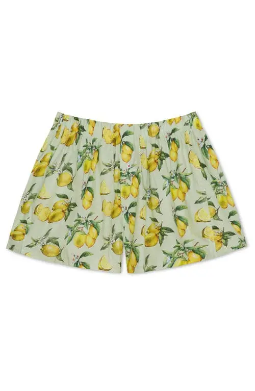 DRUTHERS NYC Organic Cotton Watercolor Lemons Boxer Short - Mint