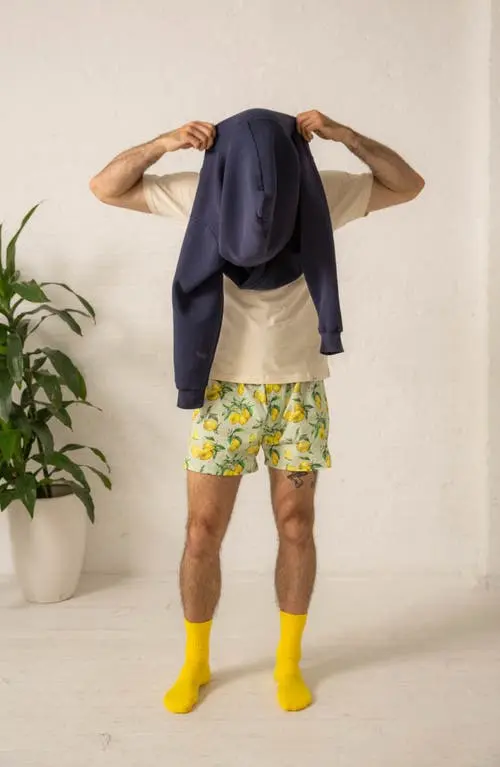 DRUTHERS NYC Organic Cotton Watercolor Lemons Boxer Short - Mint