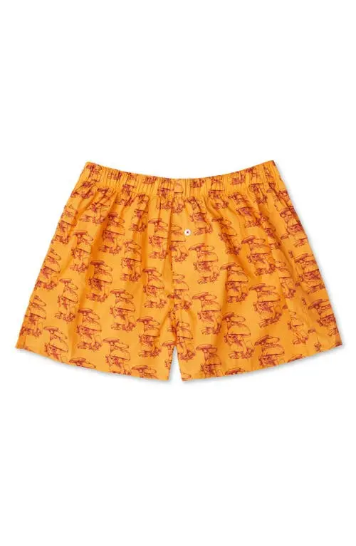 DRUTHERS NYC Organic Cotton Gorey Sketch Shroom Boxer Short - Butterscotch