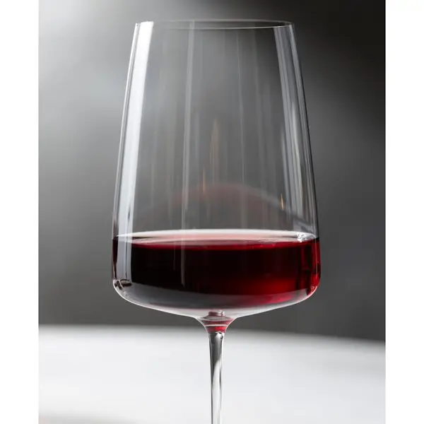 SCHOTT ZWIESEL Handmade Simplify Red Wine Glass, Set Of 2
