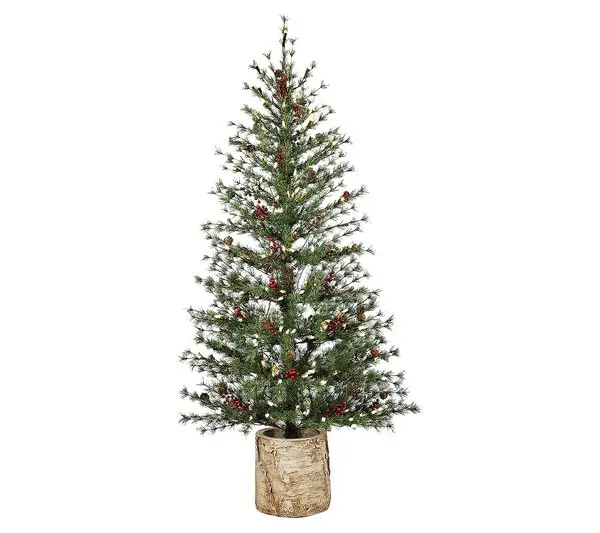 EVERGREEN 60'h Lit Artificial Christmas Tree W/ Aux Birch Pot - One-color