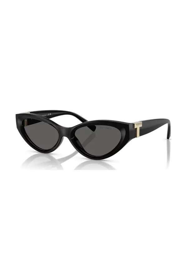 TIFFANY SUNGLASS HUT Tiffany Tortoiseshell Oval Sunglasses - Black
