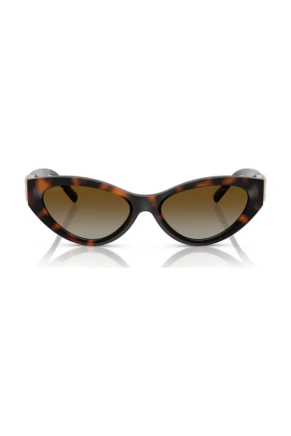 TIFFANY SUNGLASS HUT Tiffany & Co. Havana Oval Sunglasses