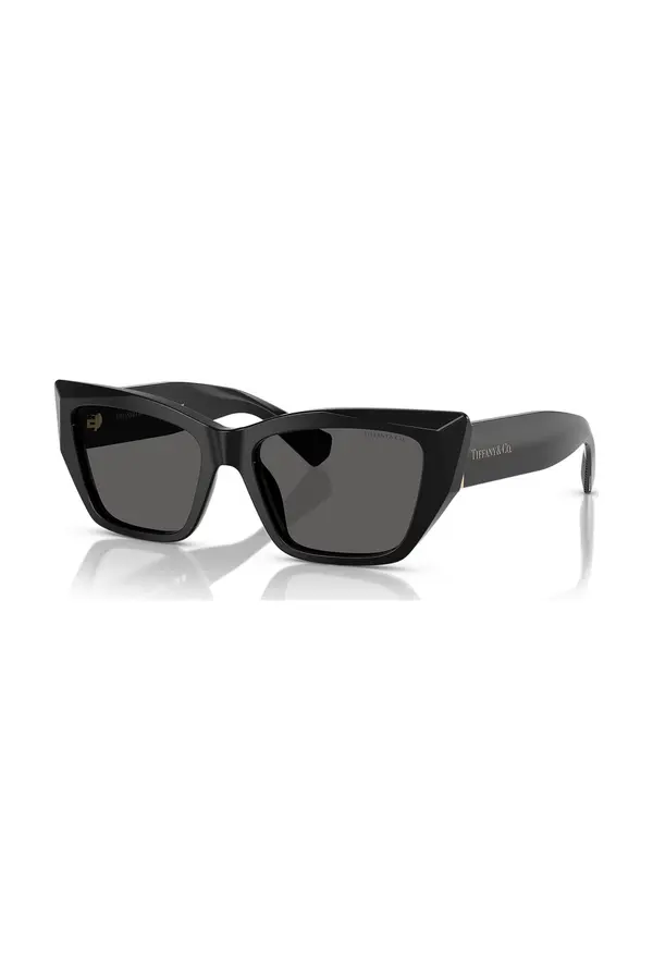 TIFFANY SUNGLASS HUT Sunglasses With Acetate Frame - Black