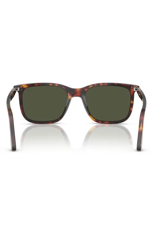 Persol 56mm Rectangular Sunglasses - Havana