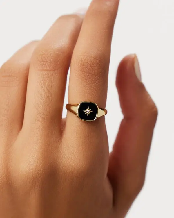 ANA LUISA Signet Ring - Gold And Amara Black