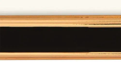 SIENA Enamel & Goldtone Border 4" X 6" Picture Frame