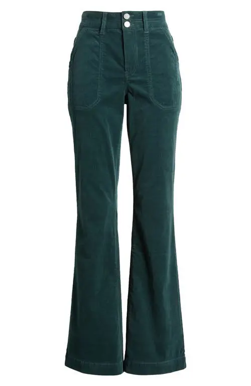 Wit & Wisdom Madison 'ab'solution High Waist Bootcut Corduroy Pants - Dusty Spruce